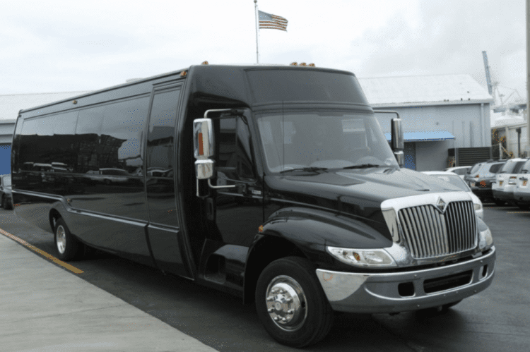 Comfortable Travel for Medium-Sized Groups: GoTravelCoach 28 Passenger ...